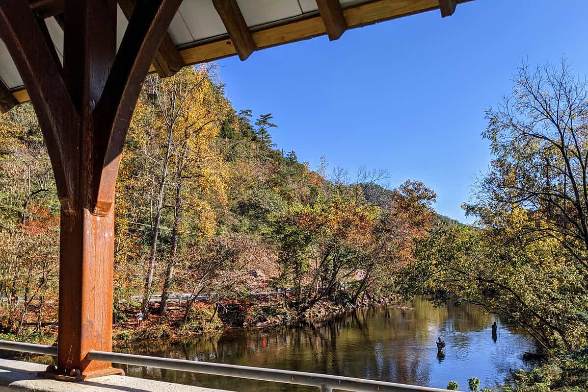 Exploring Townsend: A Local's Guide To Fun