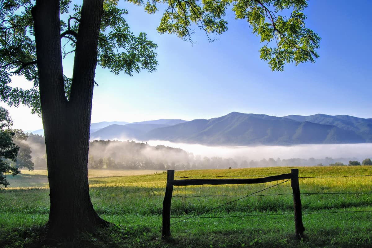 Cades Cove Bike Rentals- Where To Rent Bikes And E-Bikes